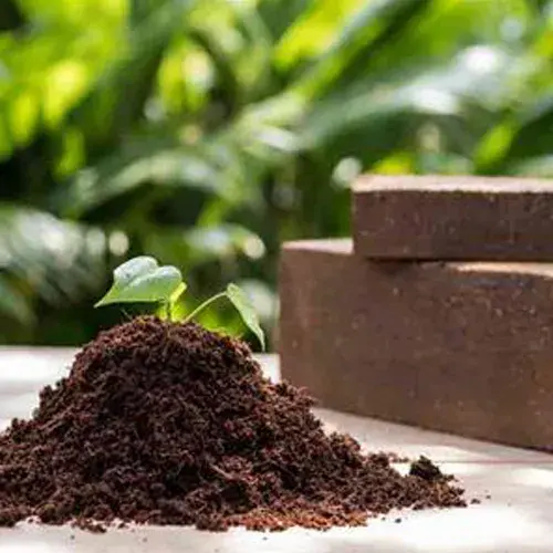 Premium Cocopeat in India | Ideal for Gardening