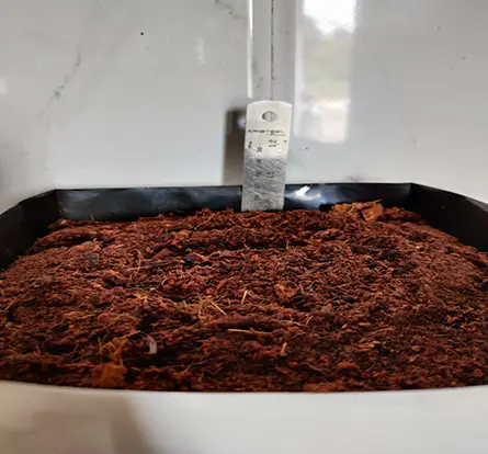 Open Top Coco Peat Slabs in Tamil Nadu